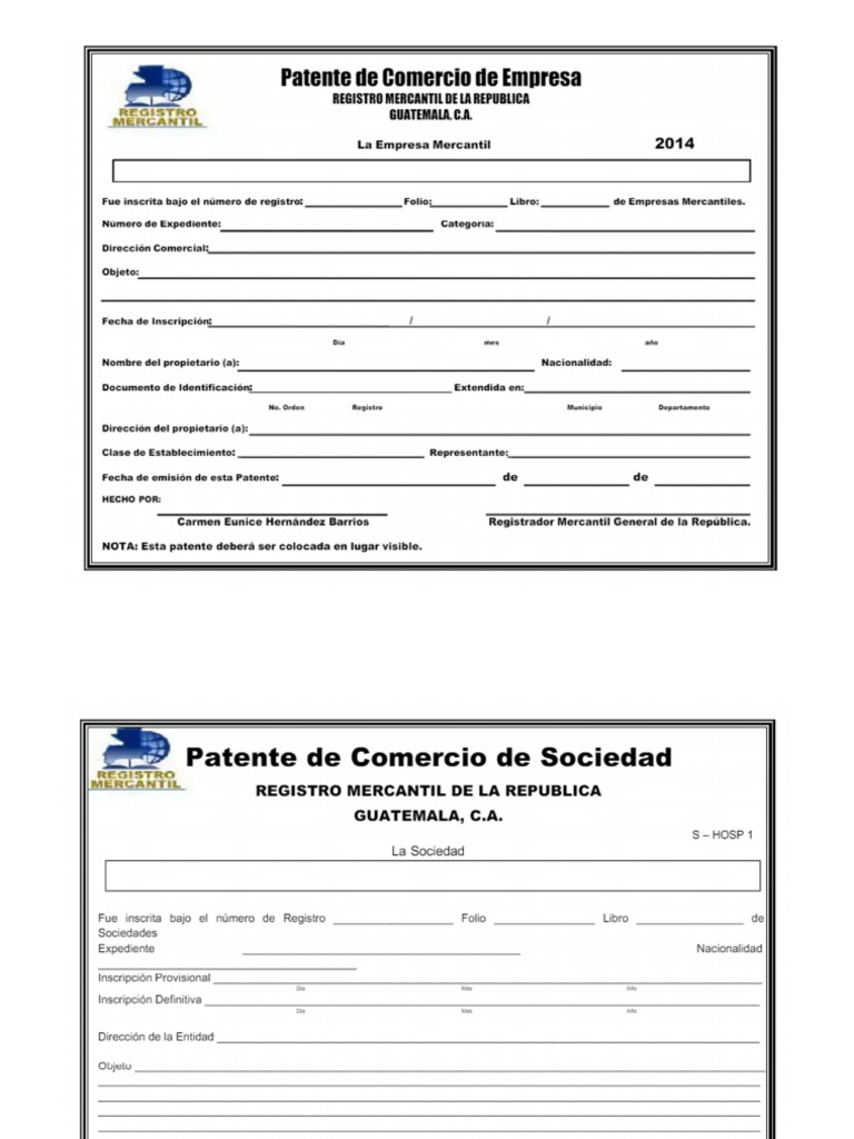 Formatos de Patente | PDF