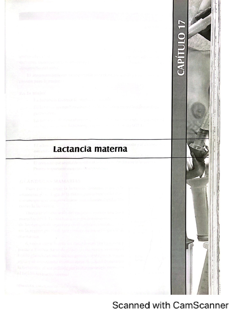 Lactancia Materna Pdf