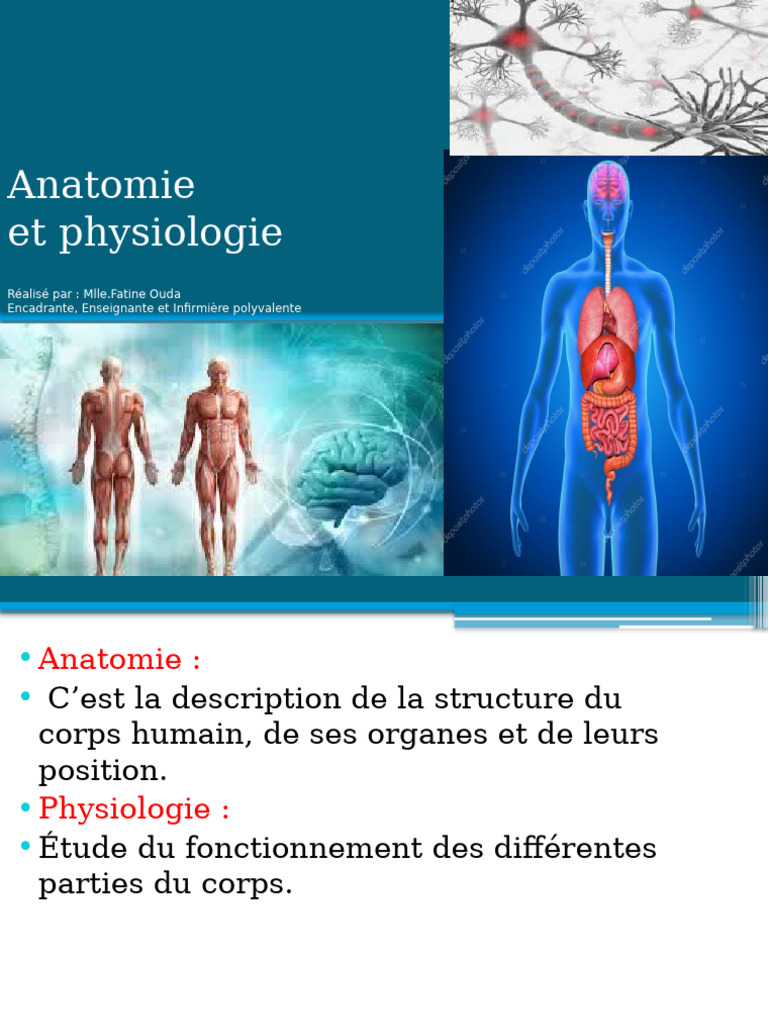 Anatomie Et Physiologie-1 | PDF
