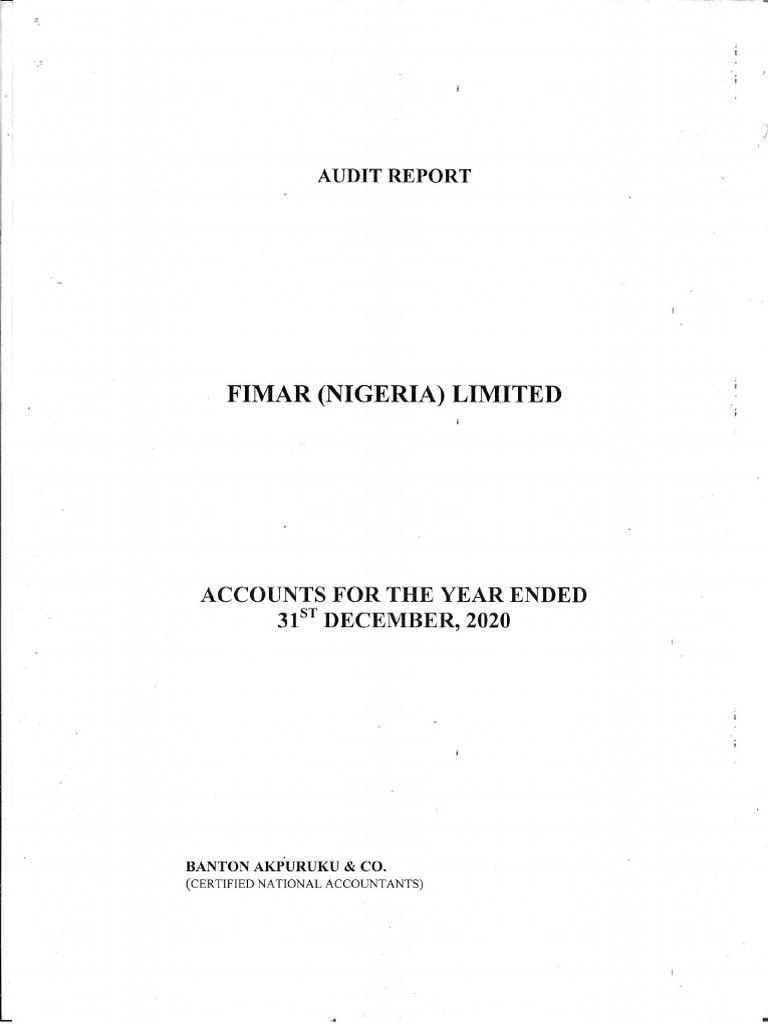2020 Fimar Audit Report | PDF