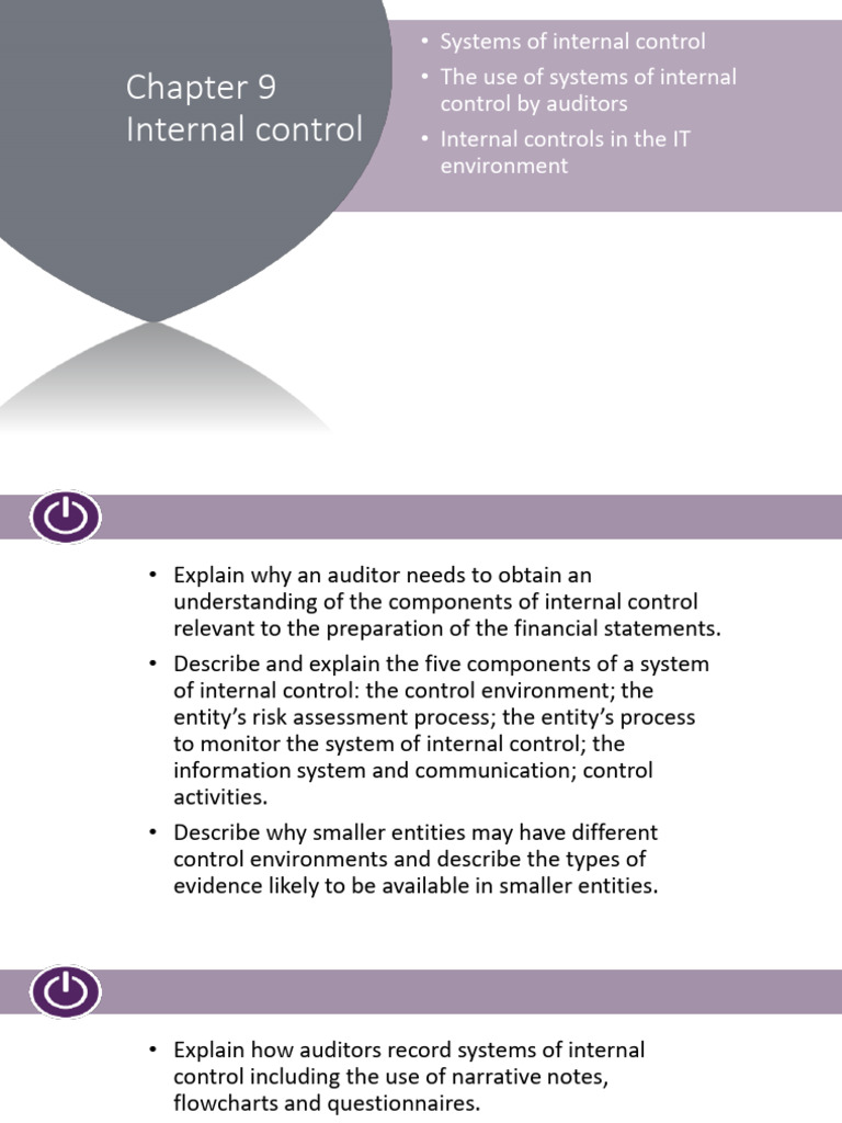 Chapter 9 - Internal Control Slides | PDF