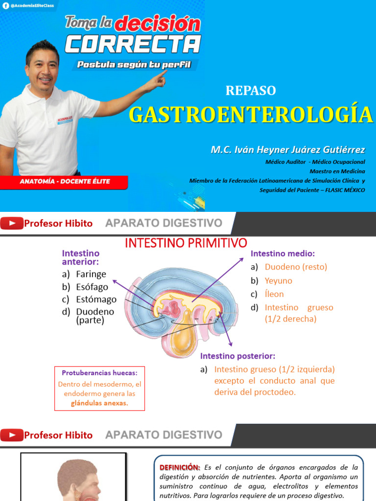 Sistema Gastro | PDF