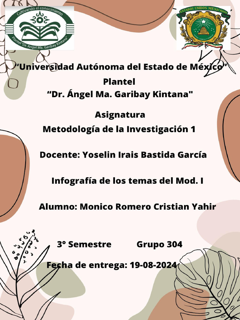 Infografía de Metodología | PDF