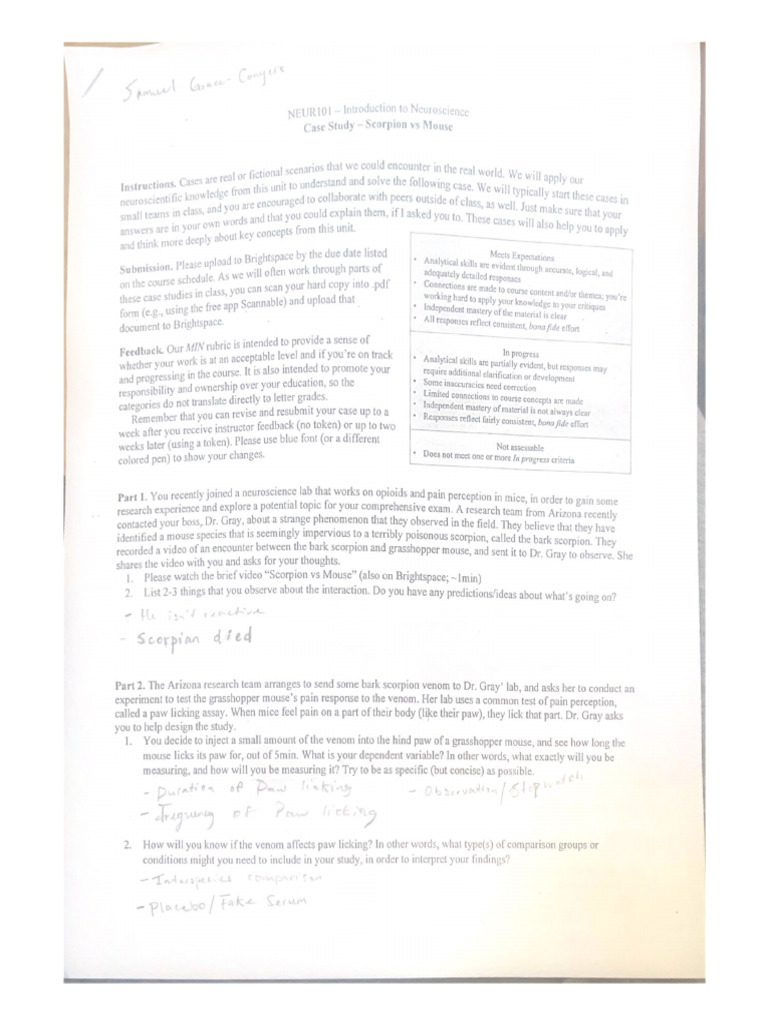 Case Study Scorpion V Mouse | PDF