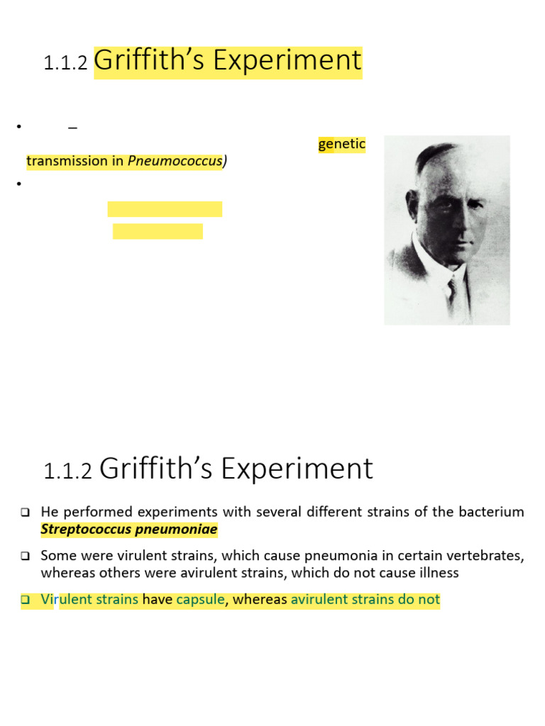 BIO511 Chapter 1 Griffith, Avery Experiments | PDF