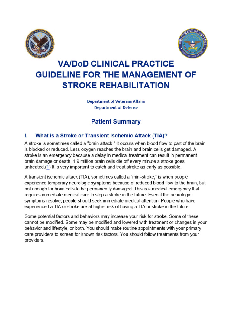 VADoD 2024 Stroke Rehab CPG Patient Summary Final 508 | PDF