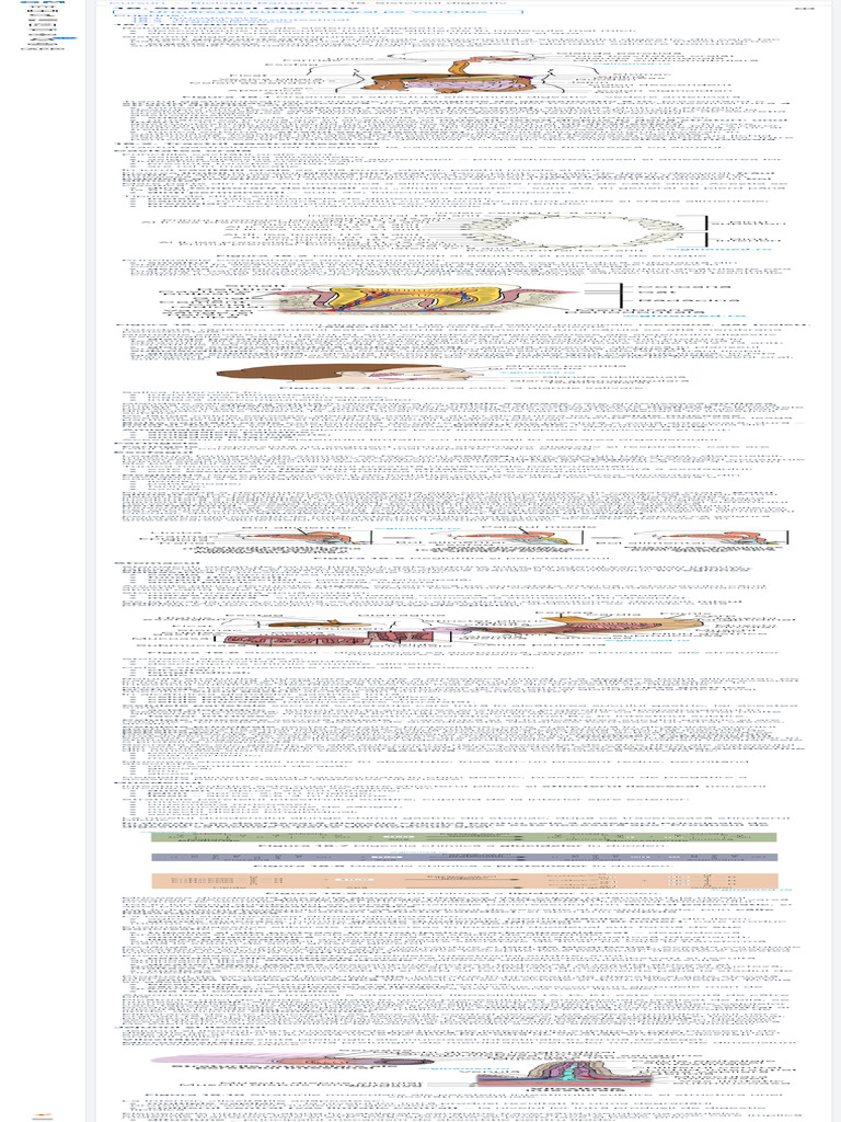 Sistemul Digestiv - Biologie Barron's - GinaMed 3 | PDF