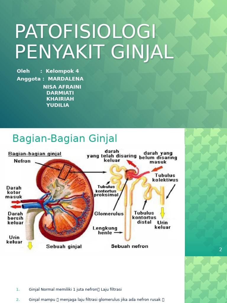 Patofisiologi Penyakit Ginjal | PDF