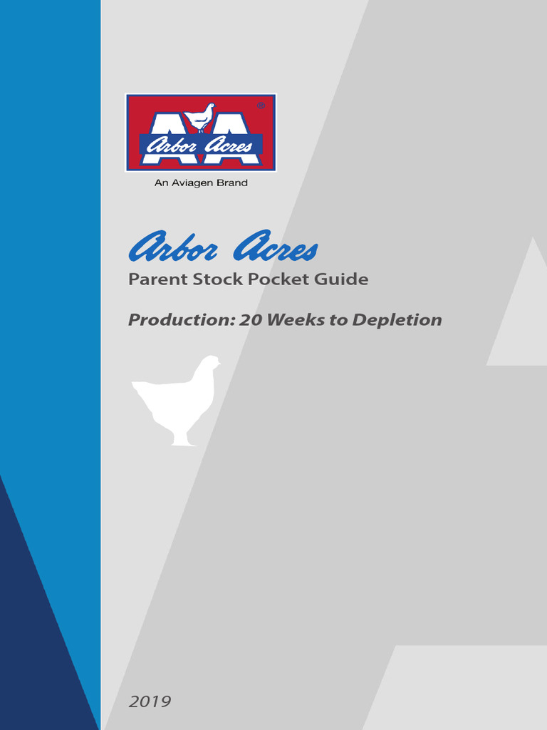 AA PocketGuide2019 2production EN | PDF