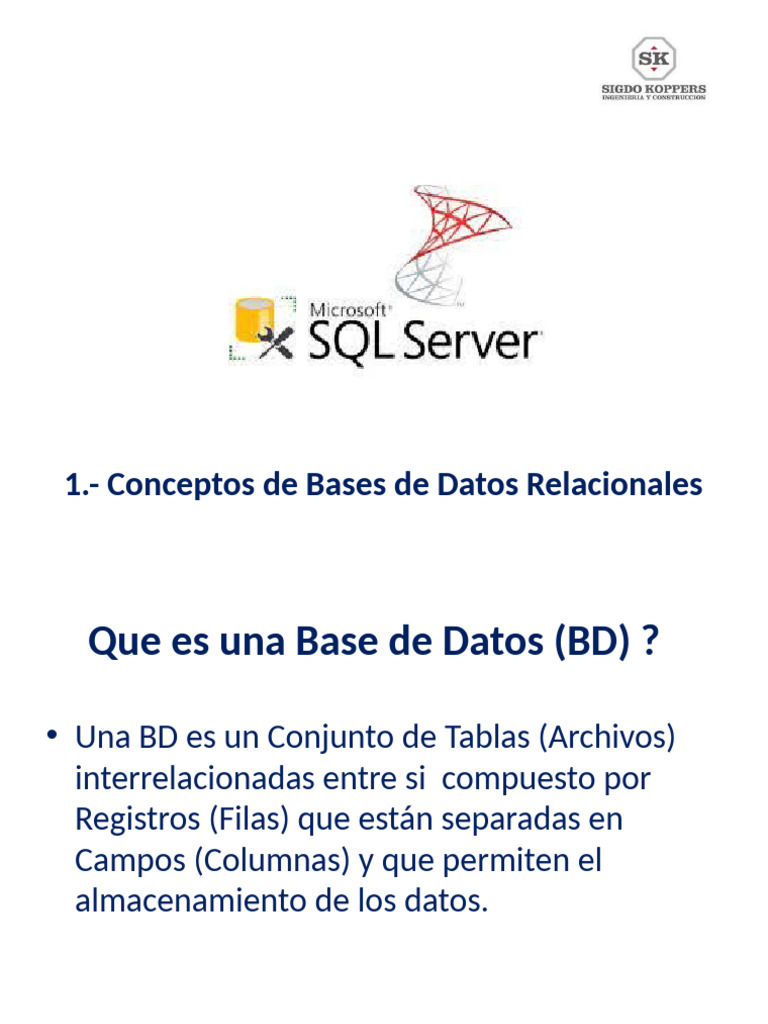 Concepto de Bases de Datos Relacionales | PDF