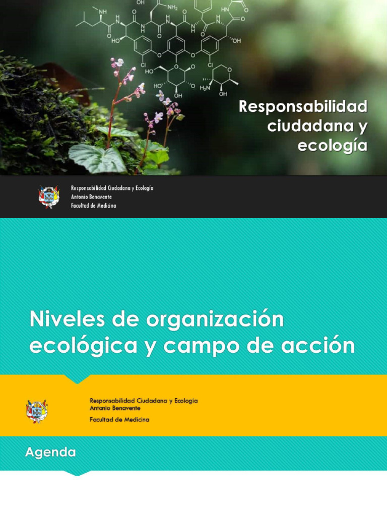 Ryeco Medicina Asíncrona 1 | PDF