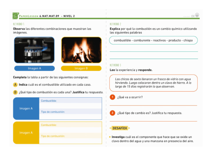 Combustión y Oxidacion | PDF
