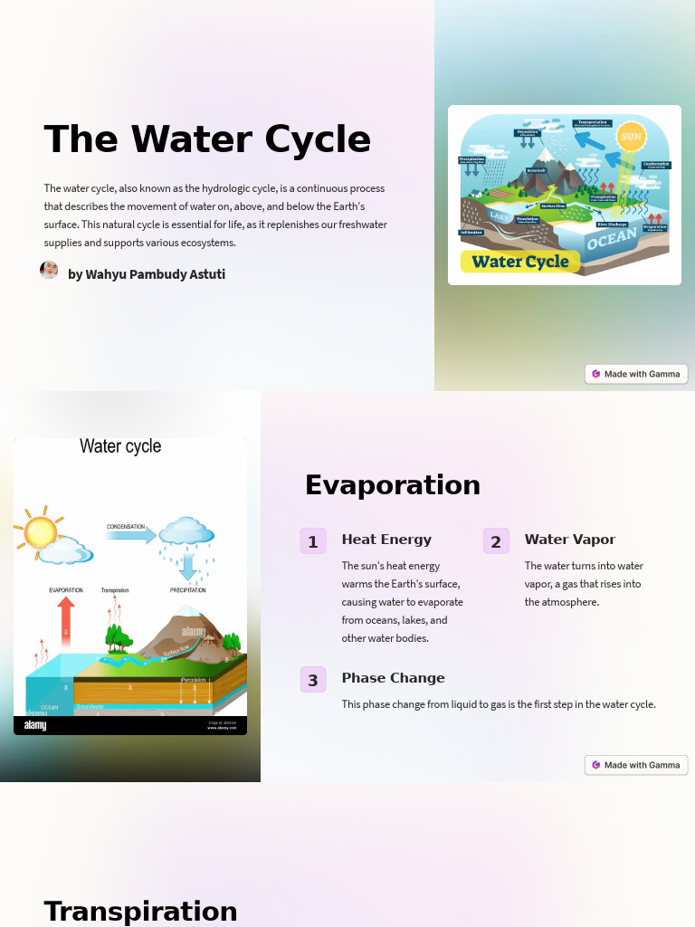 The Water Cycle | PDF