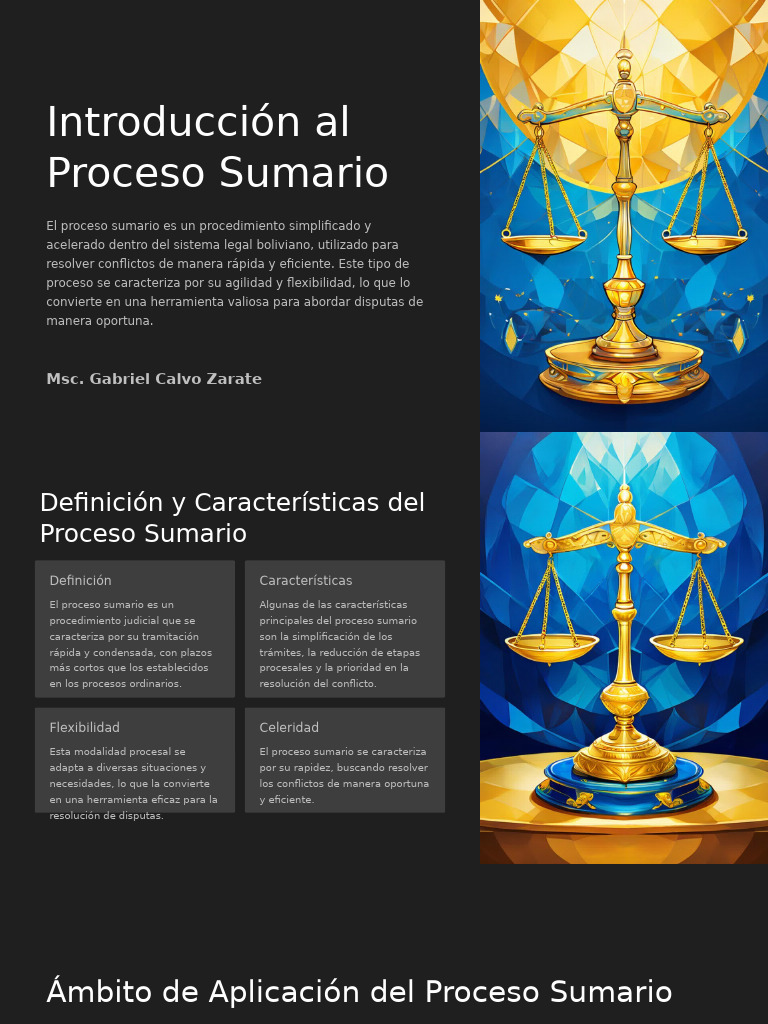 Introduccion Al Proceso Sumario | PDF