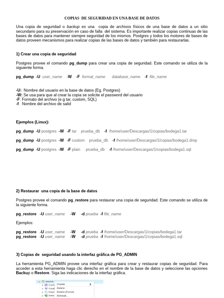 Tutorial Copia Bases de Datos | PDF