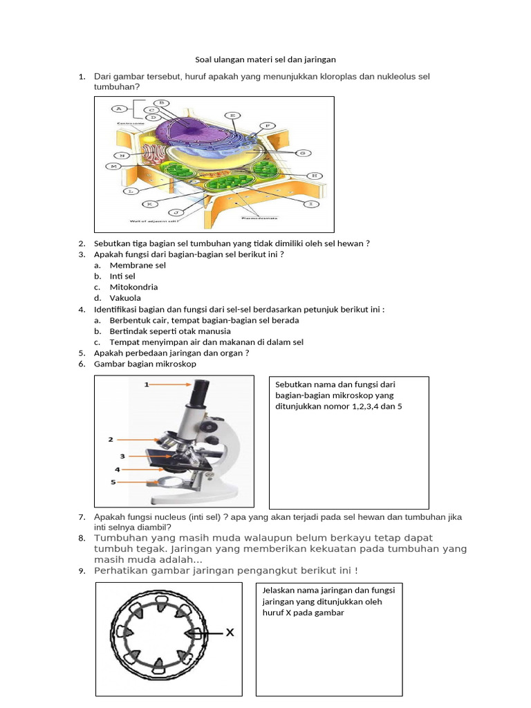 Latihan Soal Materi Sel Dan Jaringan | PDF | Sains & Matematika