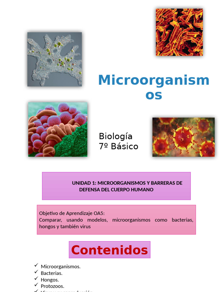 Microor Septimo 2023 | PDF