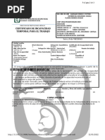 Incapacidad Imss Editable | PDF