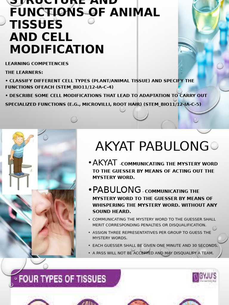 Structure and Functions of Animal Tissues Connective | PDF