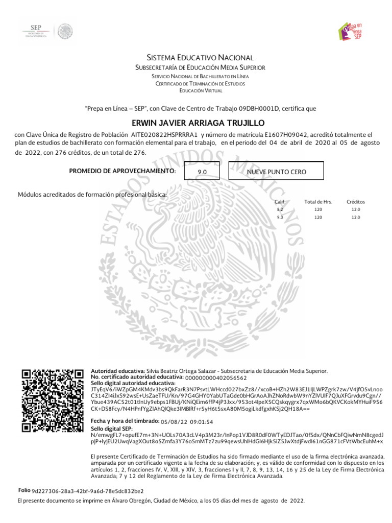 Prepa Erwin Javier | PDF