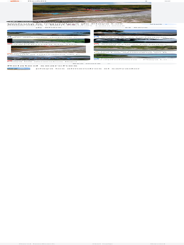 Playa Los Almendros Bani - Google Search | PDF