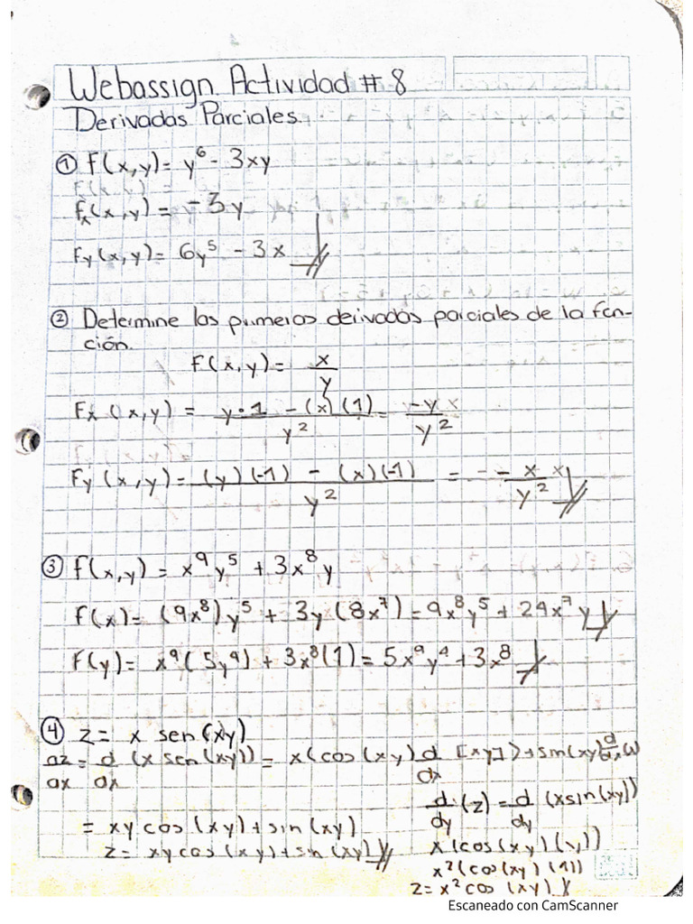 Webassign - Derivadas Parciales | PDF