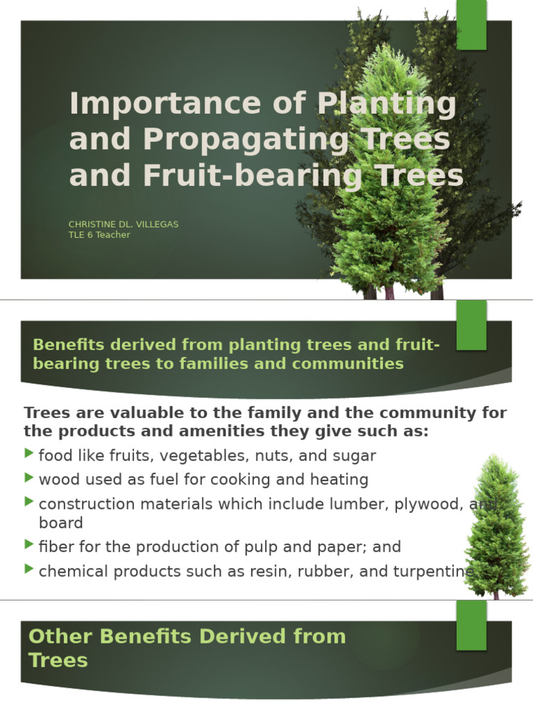 Lesson 1 Importance of Planting | PDF