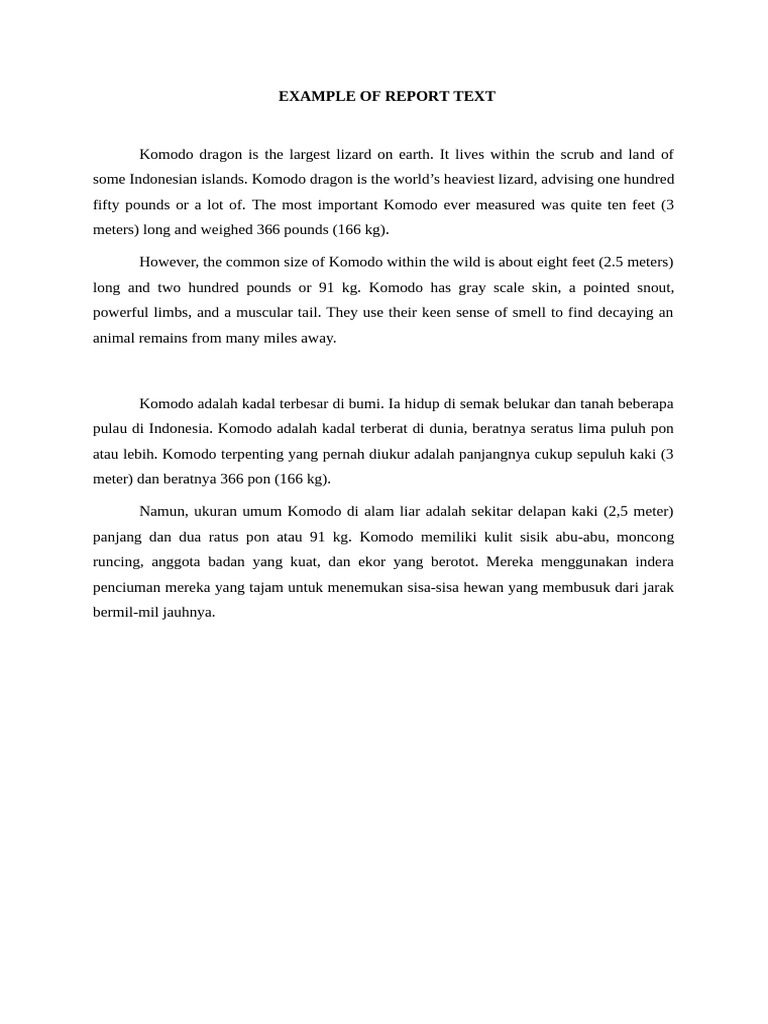 Example of Report Text | PDF