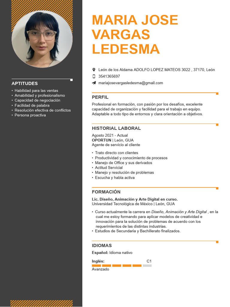 Habilidades y Perfil Profesional de María José | PDF