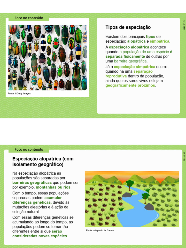 Atividade 1 Aula 7 Pdf