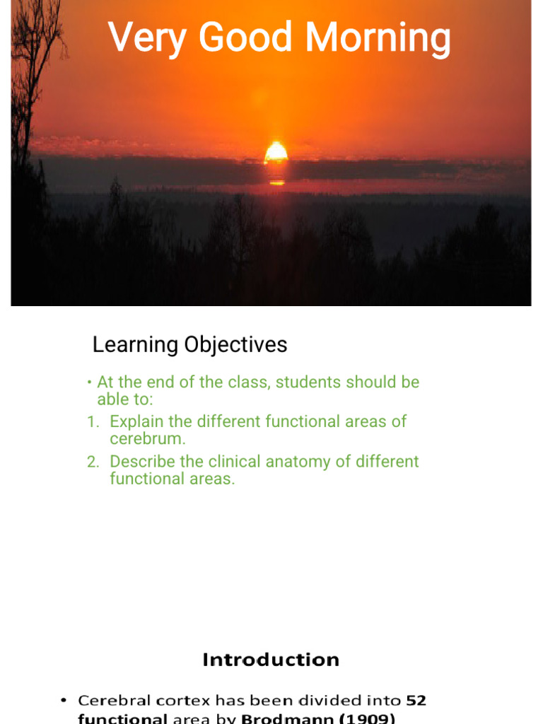 Cerebrum 2 | PDF