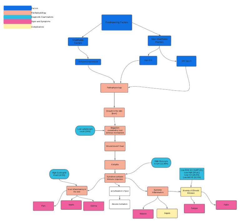 Cellulitis Patho | PDF
