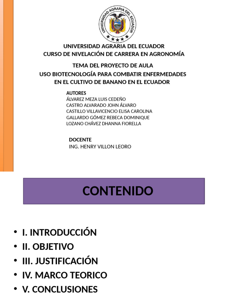 Presentation 1 Caro | PDF