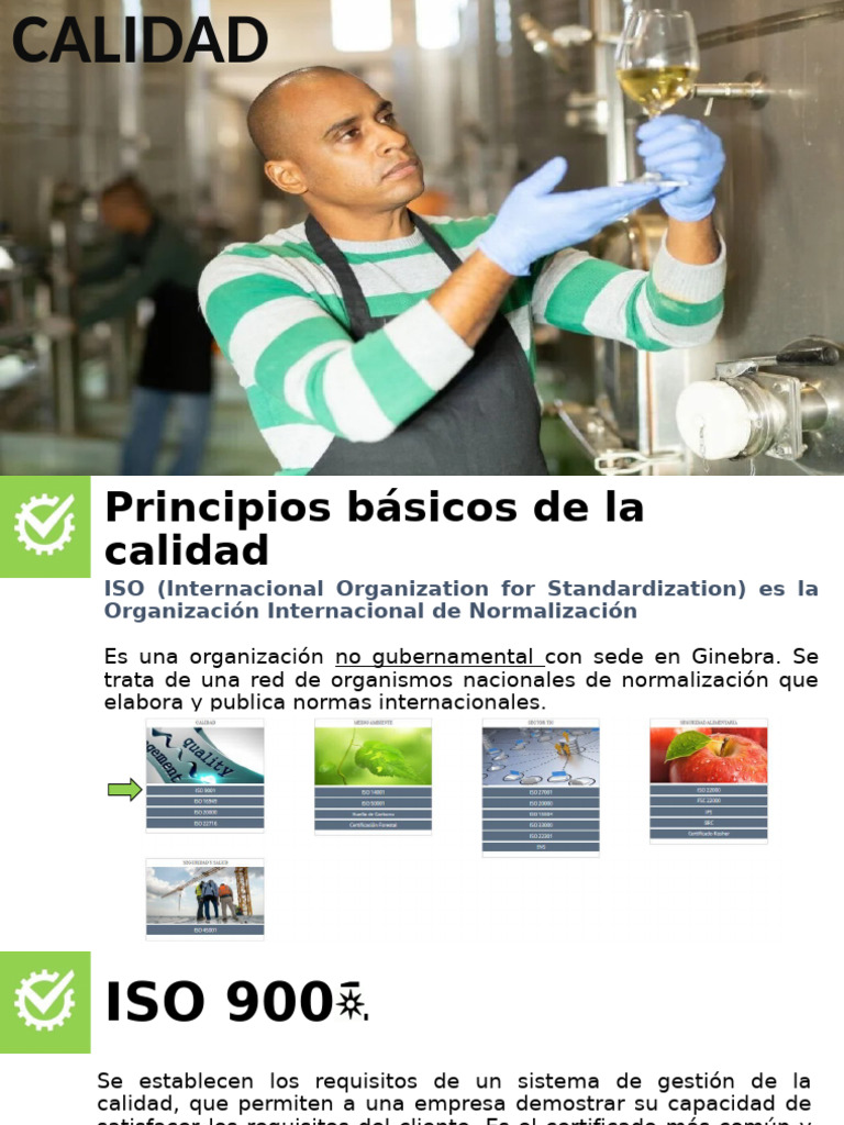 Conceptos de Calidad. | PDF