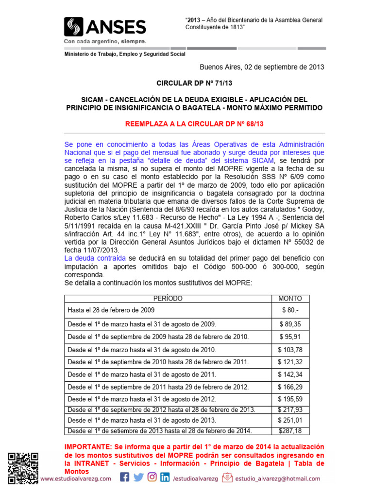 Aplicación del Principio de Bagatela ANSES | PDF