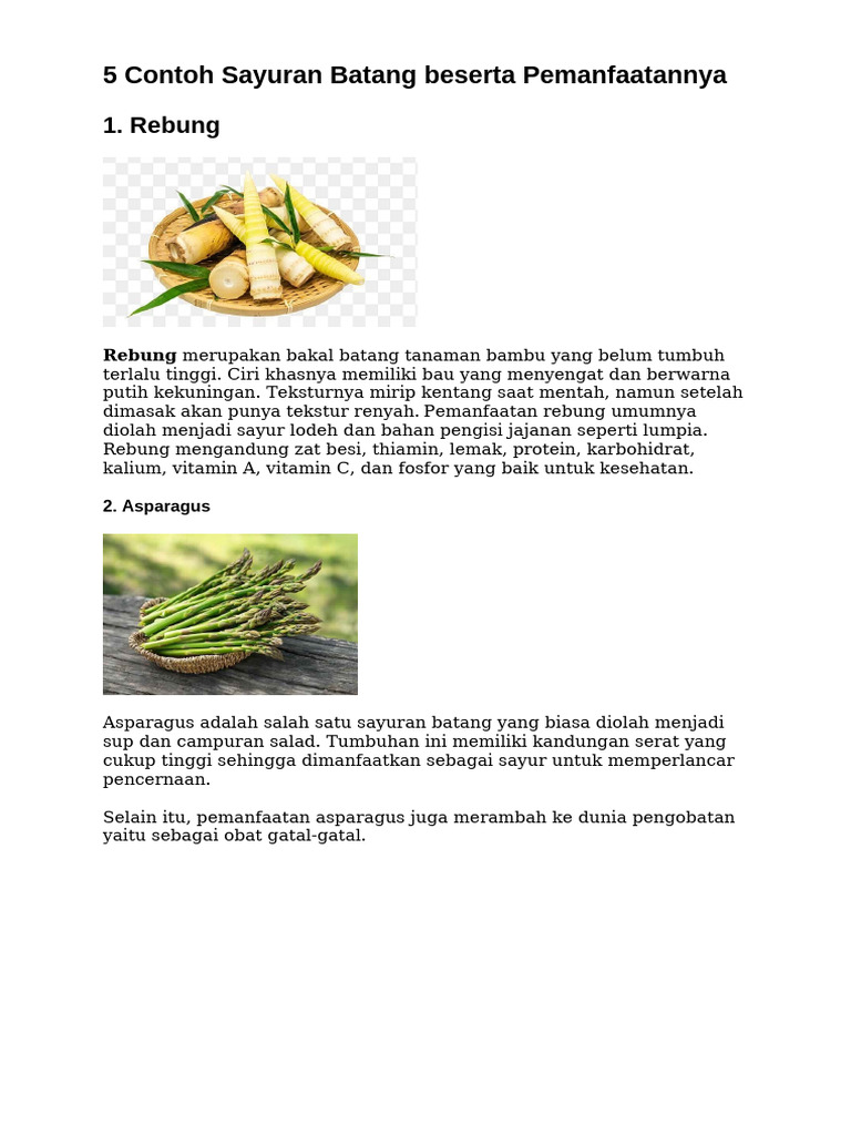 5 Contoh Sayuran Batang Beserta Pemanfaatannya | PDF