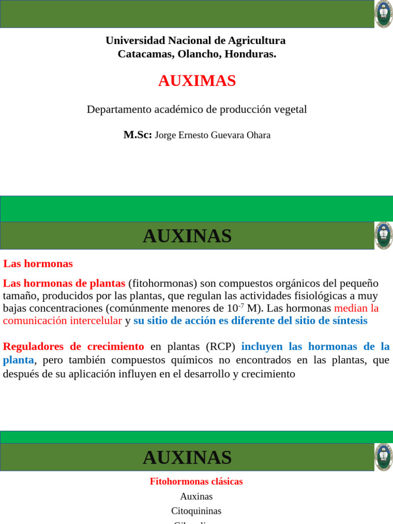 Auxinas: Regulación y Aplicaciones | PDF | Home & Garden | Science & Mathematics