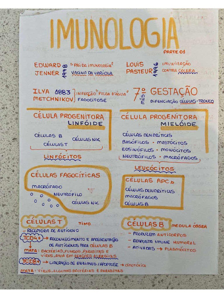 Resumo Imuno | PDF