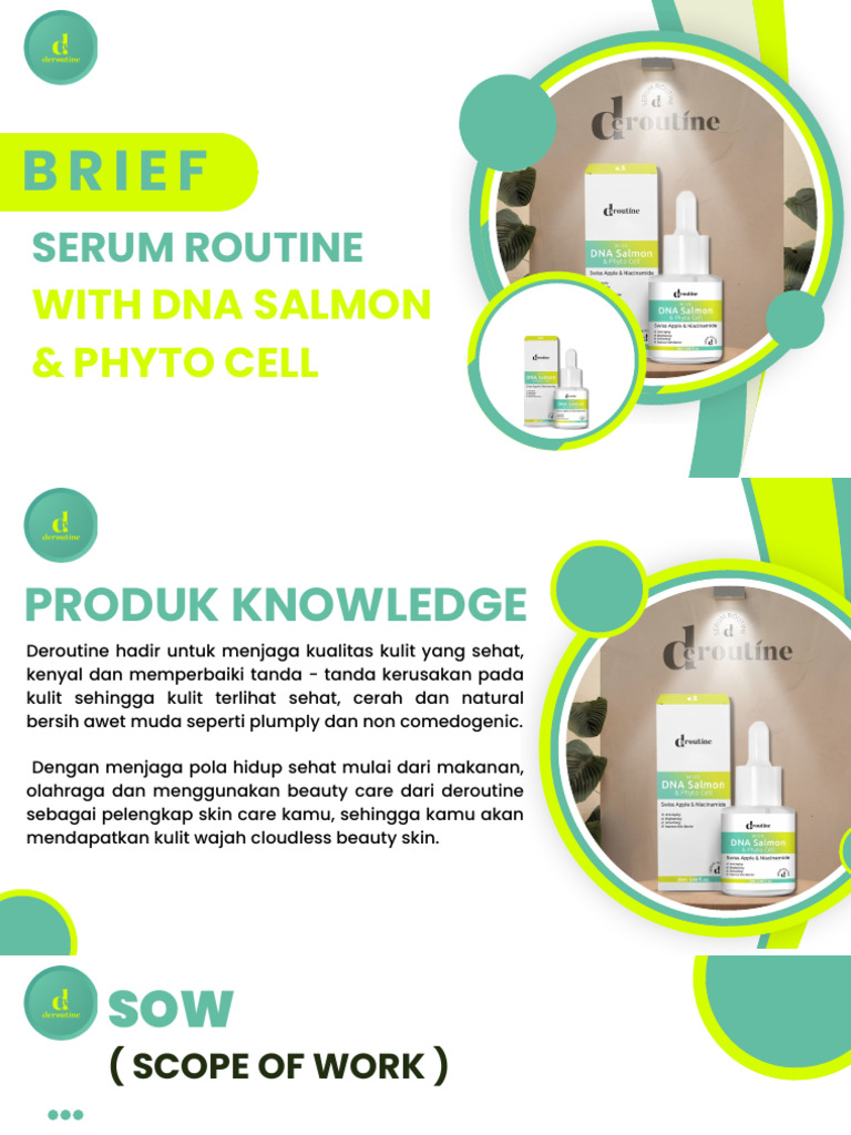 Contoh Brief Kol Influencer | PDF