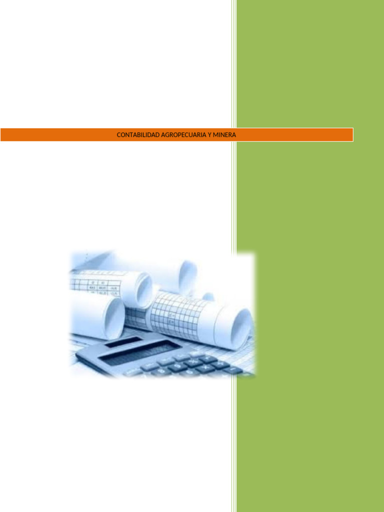 Plan de Cuentas - Mandarina... | PDF