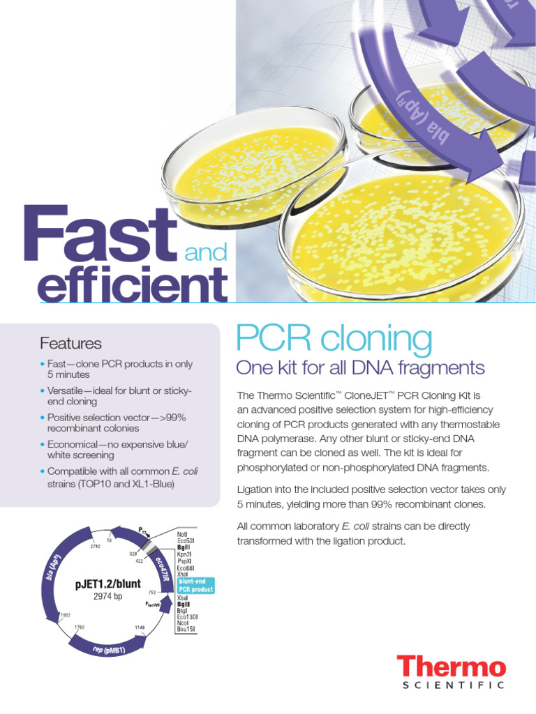 Graphic Map of pJET1 - 2 | PDF | Molecular Cloning | Dna Ligase
