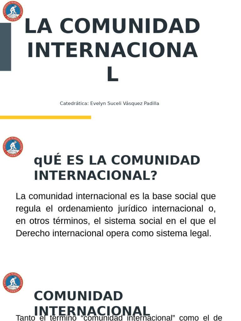 Derecho Internacional ONG | PDF