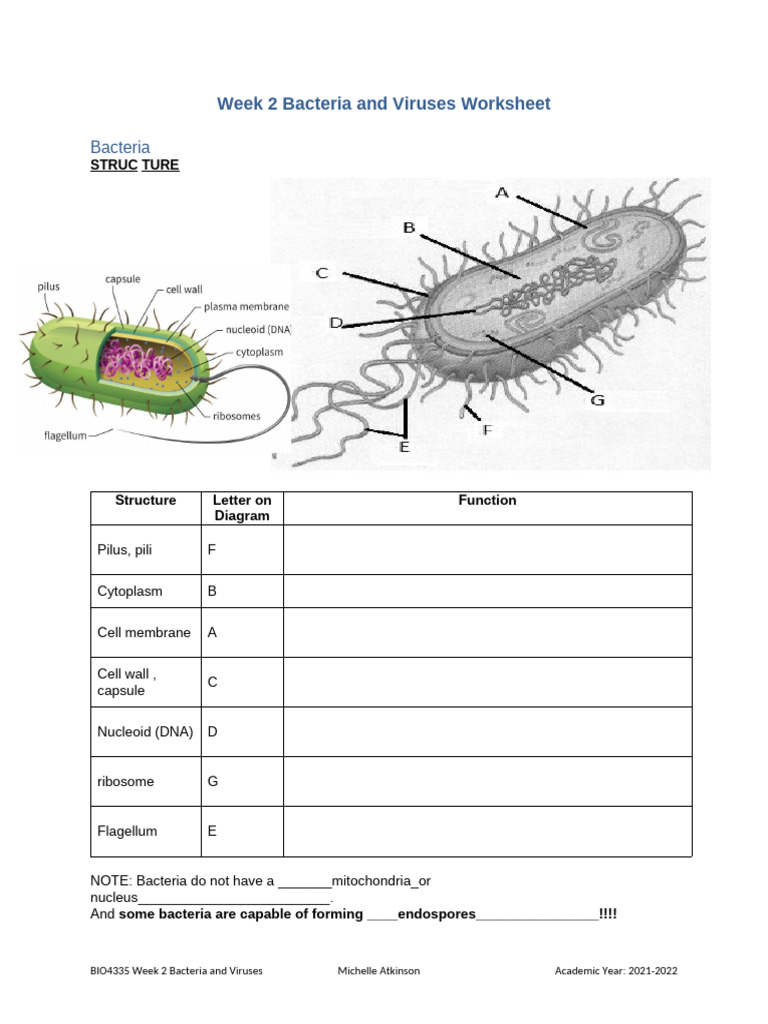 WK 2 Worksheet Microbiology | PDF