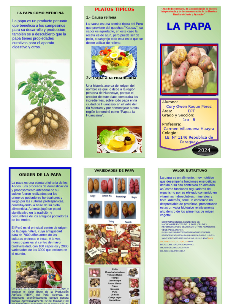 Triptico de LA PAPA 1 | PDF