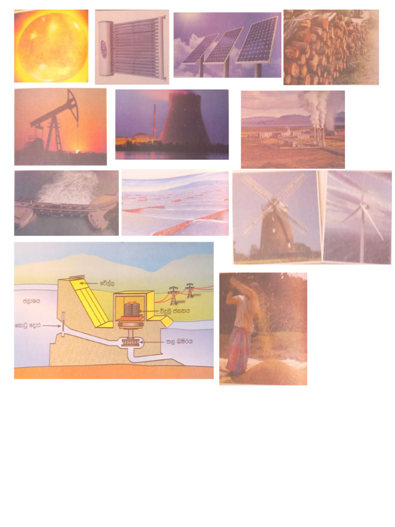 Science | PDF