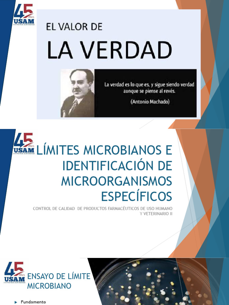 Clase CC3-2024 Recuento Microbiano | PDF