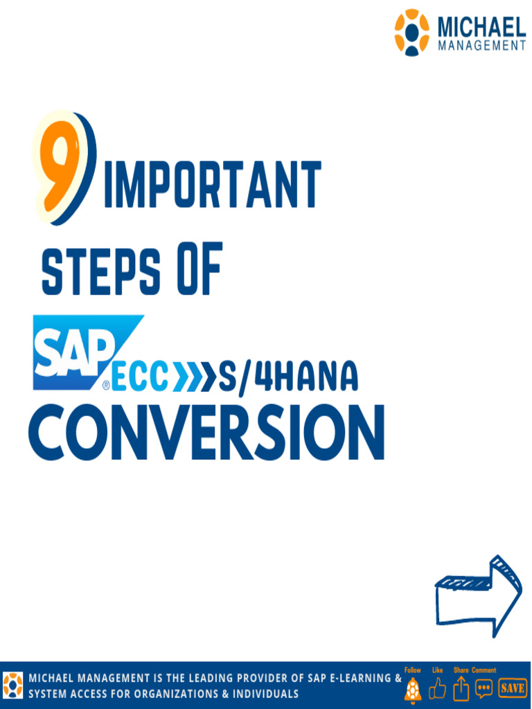 9 Steps of S_4 HANA Conversion | PDF
