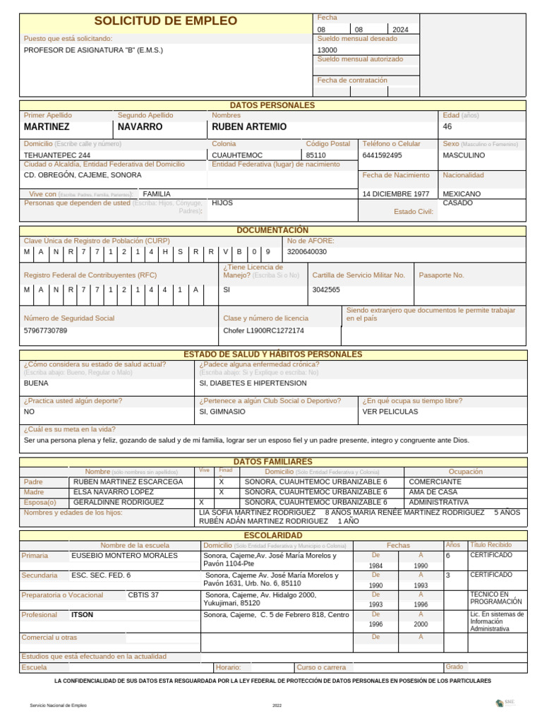 Sne Solicitud de Empleo Plantilla WD | PDF