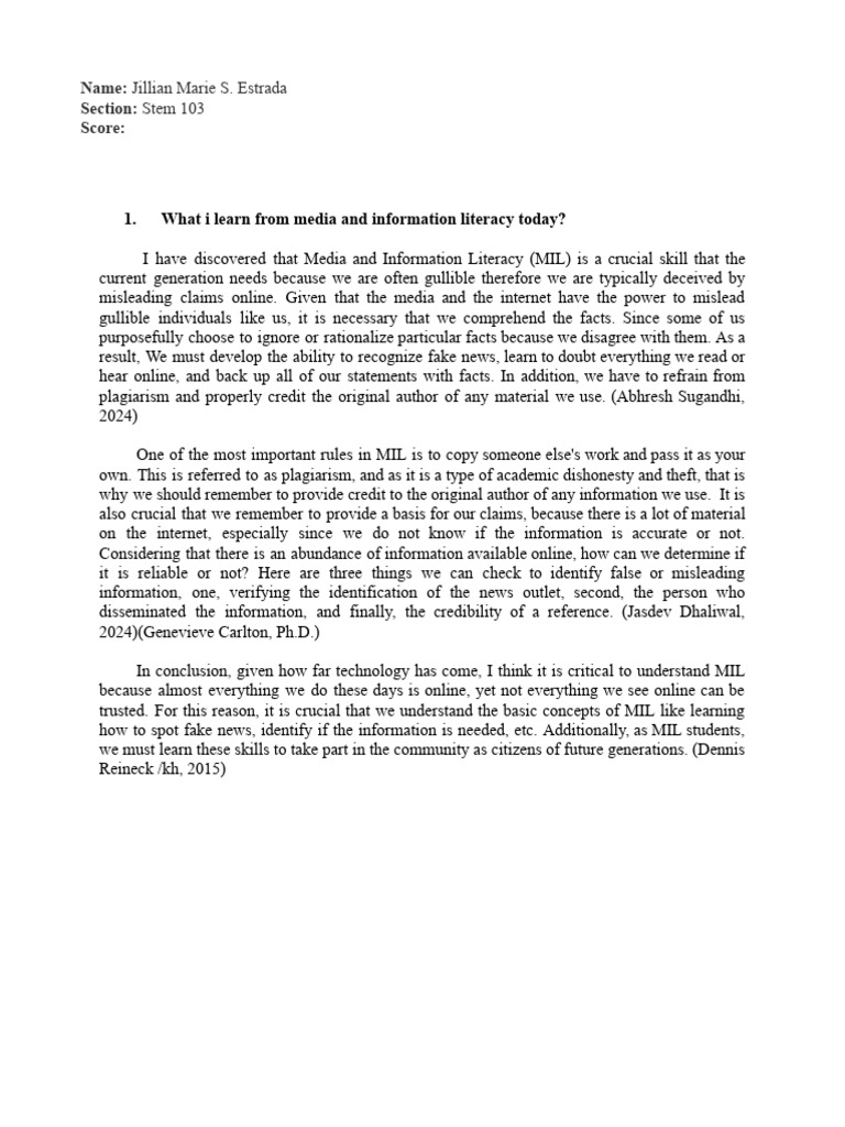 MIL ASSIGNMENT - Google Docs (Final) | PDF