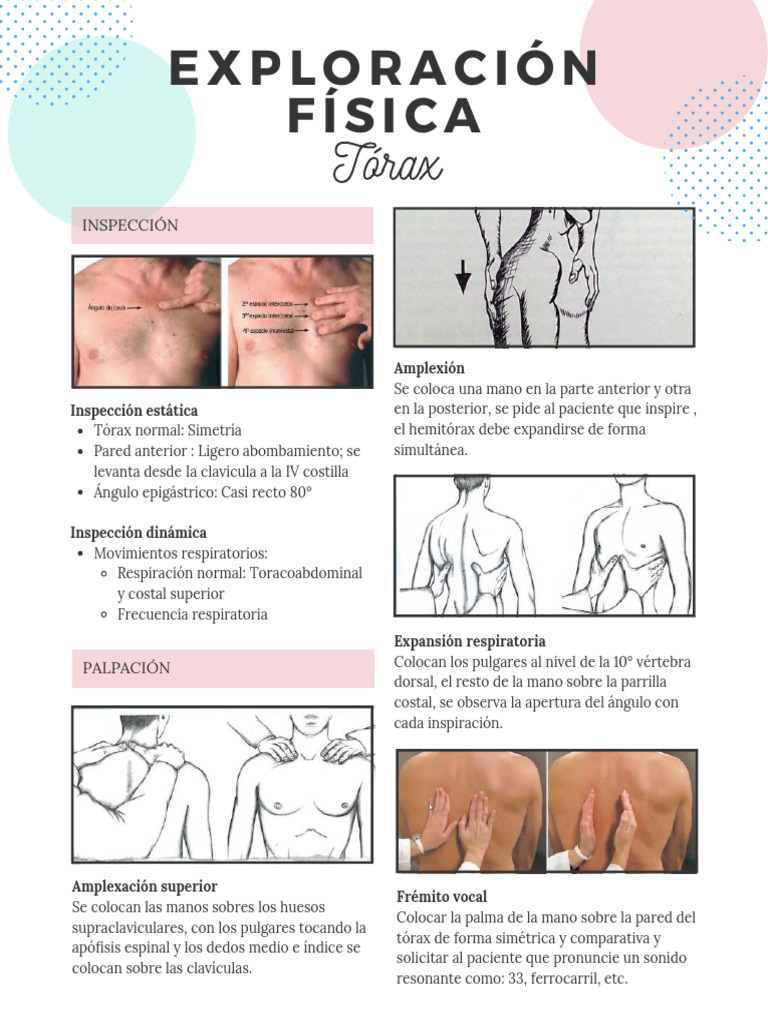 Exploracion Fisica Torax Explicado | PDF